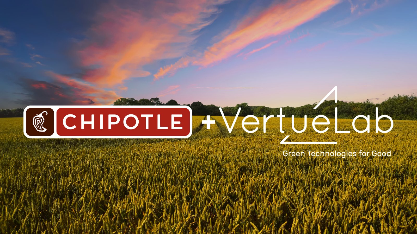 VertueLab в Twitter: „Excited to announce that VertueLab has been selected by @ChipotleTweets to ...
