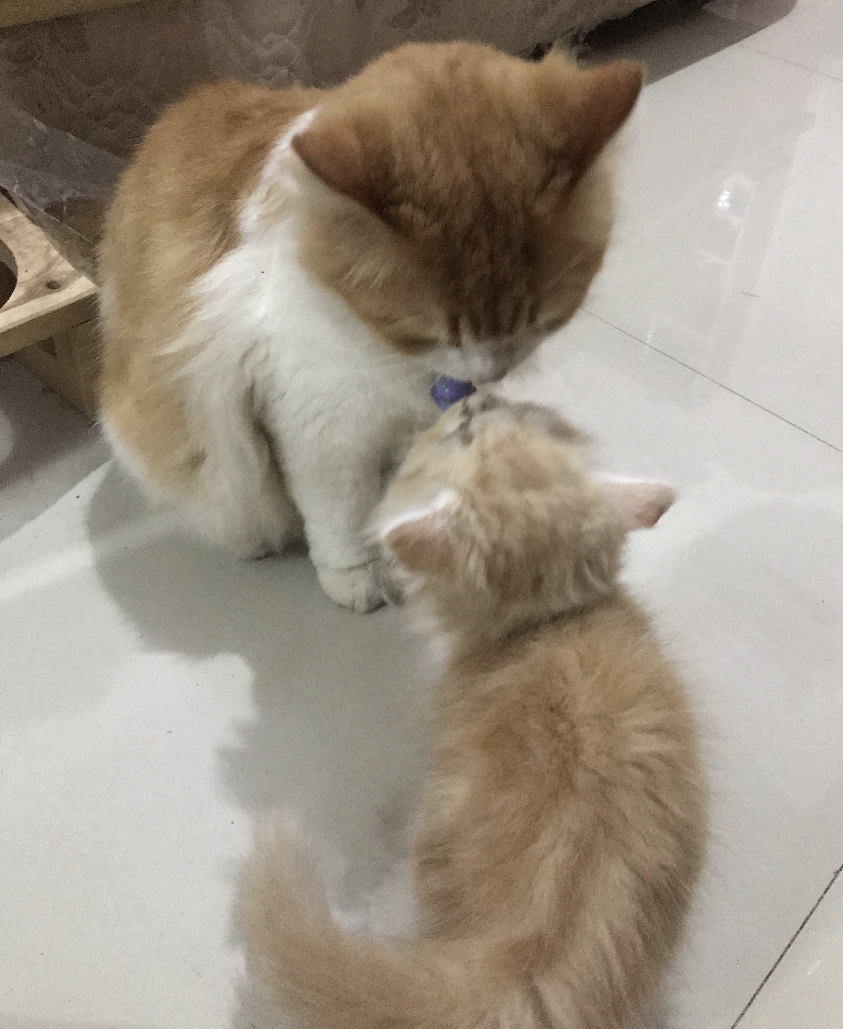 tuturu 🌙 (@tutu_ru01) / Twitter