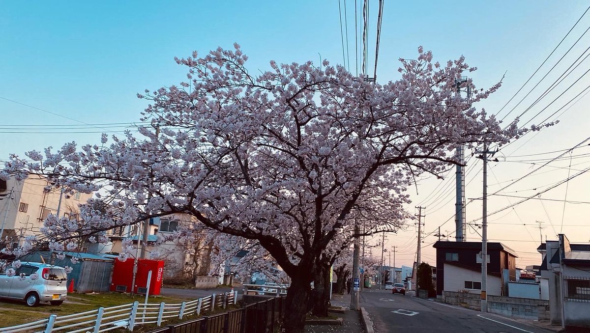 narichan(@Nari_pyon) - Twilog