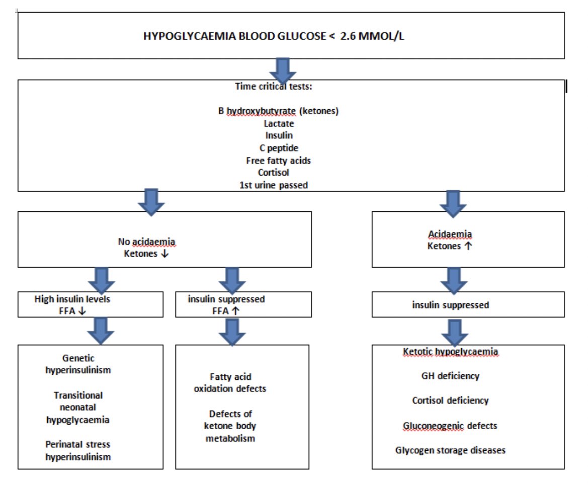 Hypoglycemia Flowchart