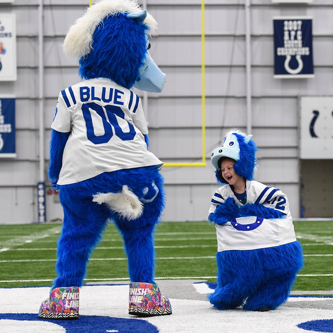 Indianapolis Colts Horse