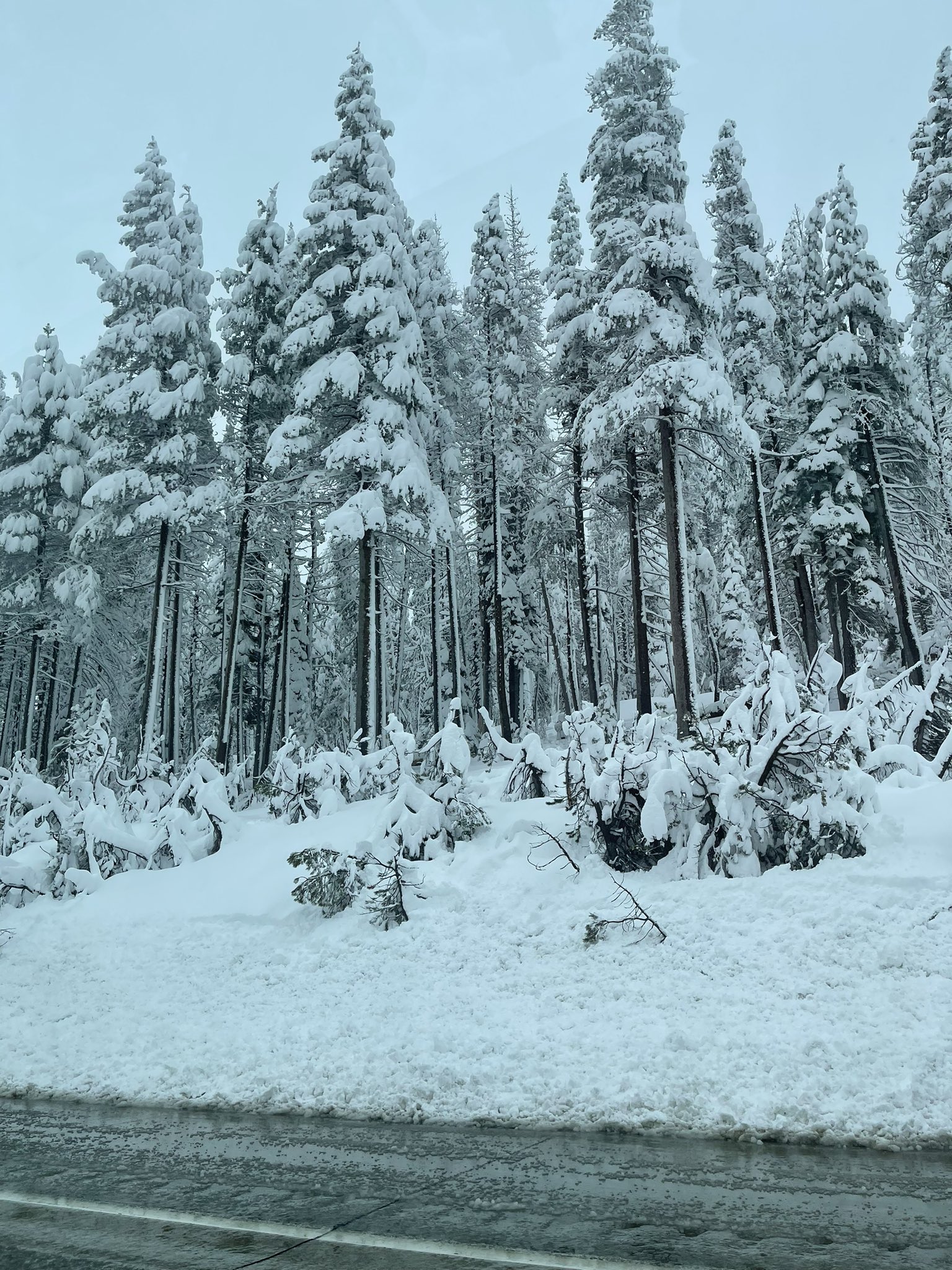 TW Pornstars - 3 pic. Haley420. Twitter. I can’t believe there is still ...