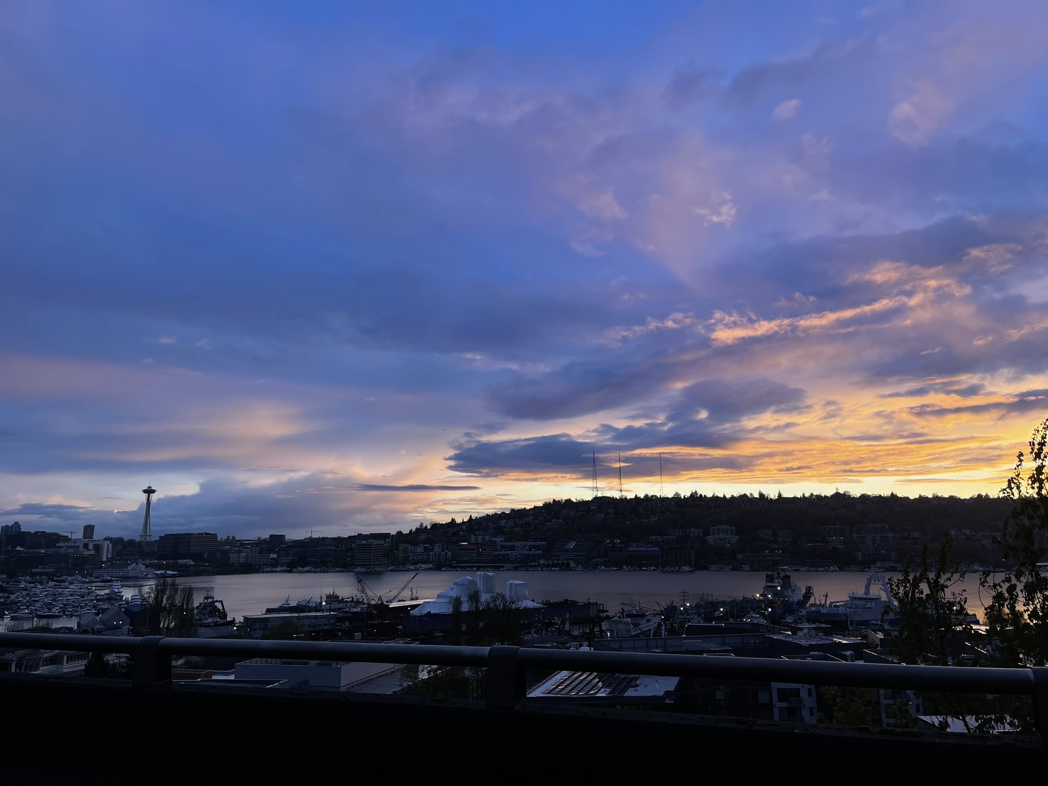 TW Pornstars - 2 pic. Cassie Solis🖤. Twitter. i’m so very happy and I ...