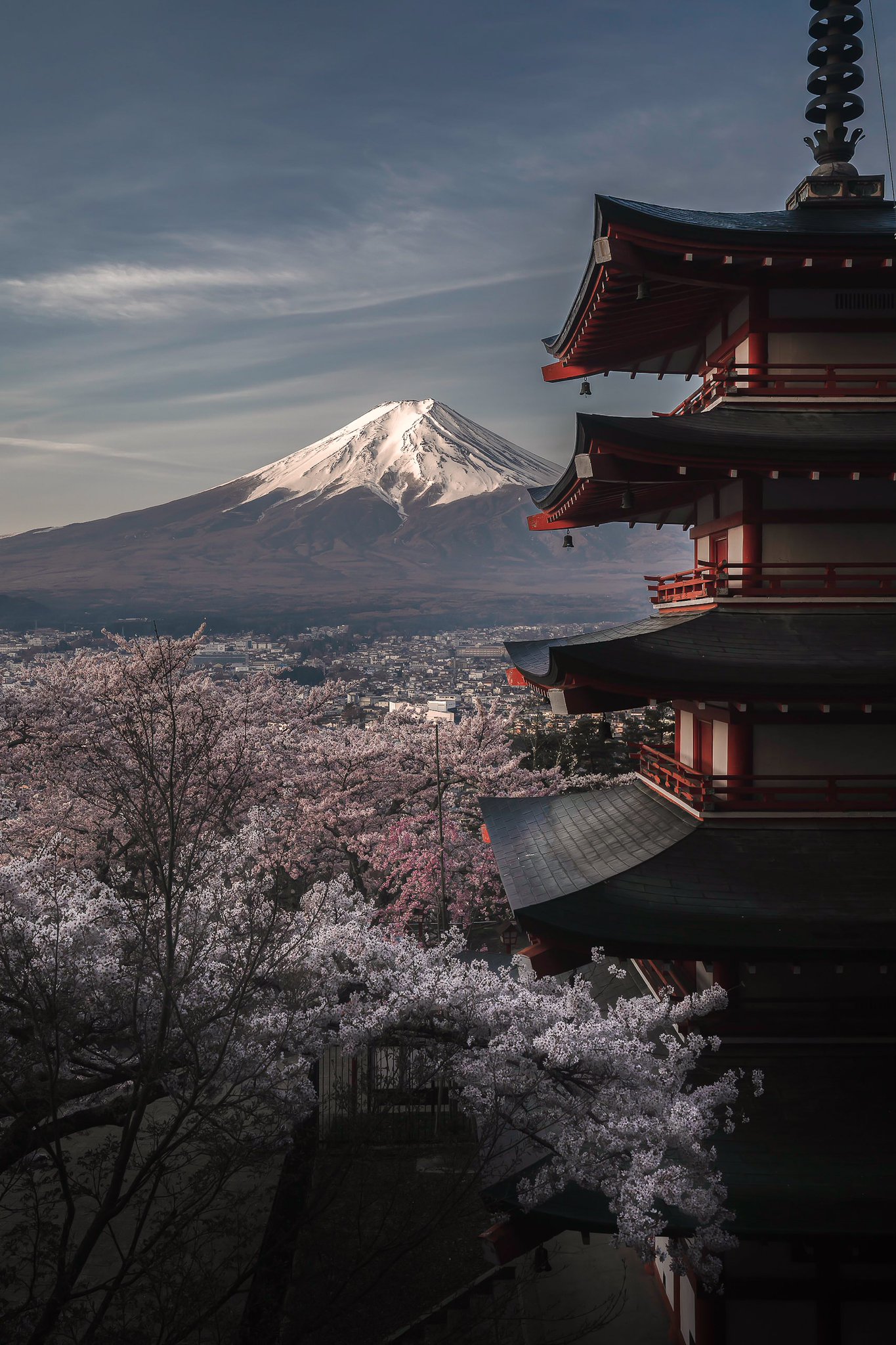 AyuMi on Twitter: "RT @bee_tk_: THE「日本」な写真をどうぞ。 https://t.co/8xaldgqyuf" / Twitter