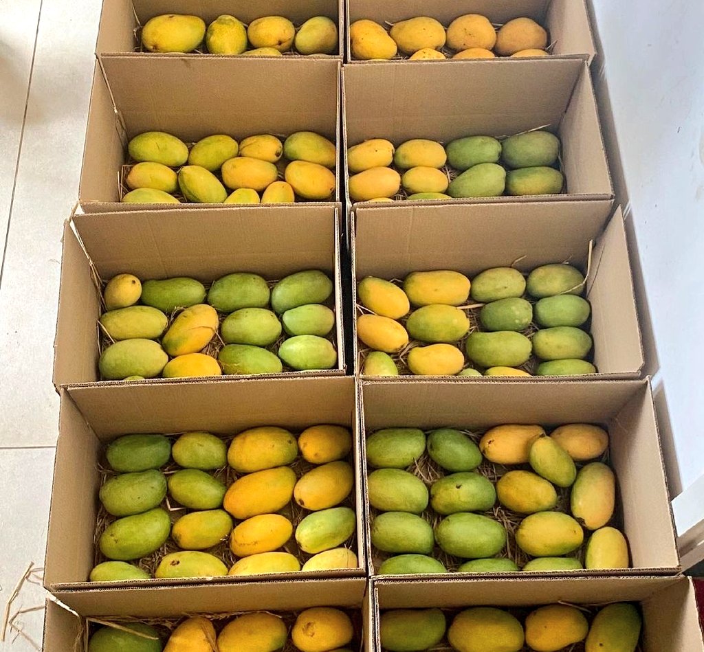 Mango Mania continues with a small thread 🧵 Its Mango season here in ...