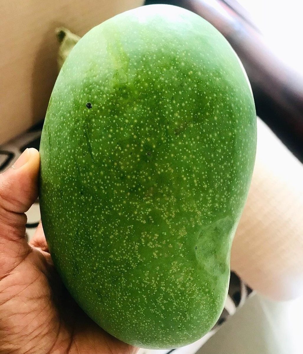 Mango Mania continues with a small thread 🧵 Its Mango season here in ...