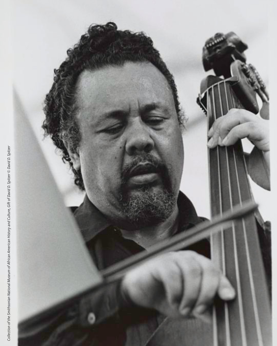 African American Bass Player