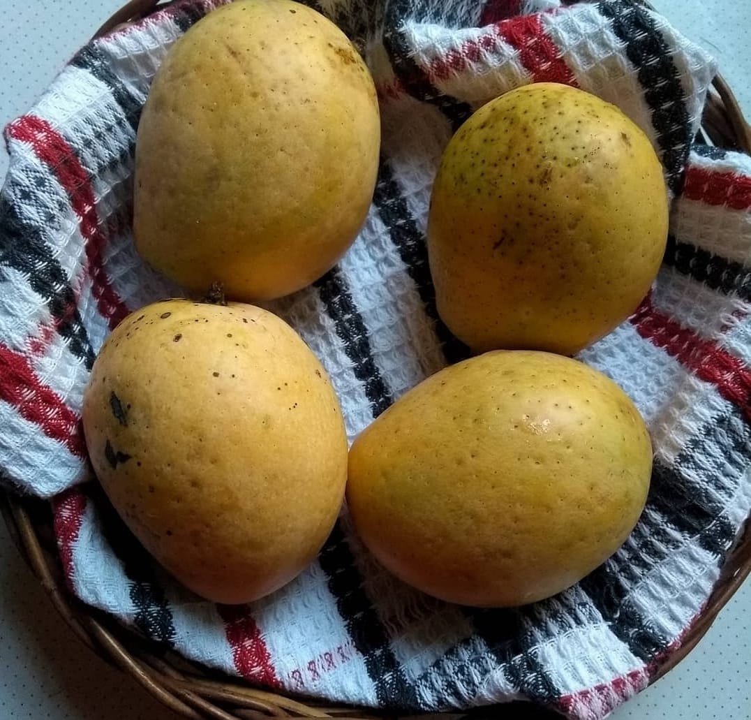Mango Mania continues with a small thread 🧵 Its Mango season here in ...