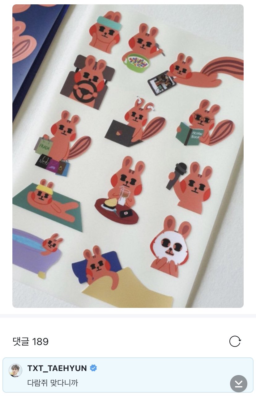 tinybear on Twitter: "@translatingTXT @TXT_members @TXT_bighit im sorry terry i thought it was a ...