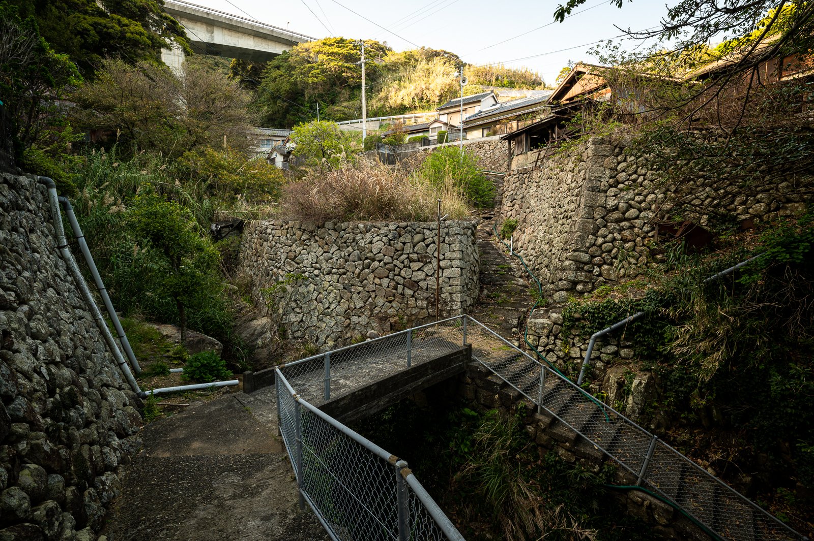 dokubutu on Twitter: "はい最強 https://t.co/chATxXkSM9" / Twitter