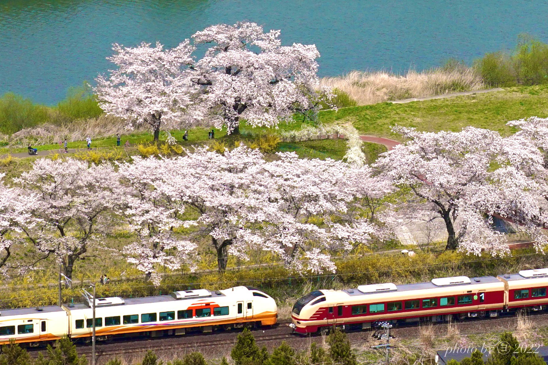 こ ん て つ on Twitter: "RT @maruyho2: 2022/4/11 9577M・9578M E653系×7 (K70編成・U101編成) https://t.co ...