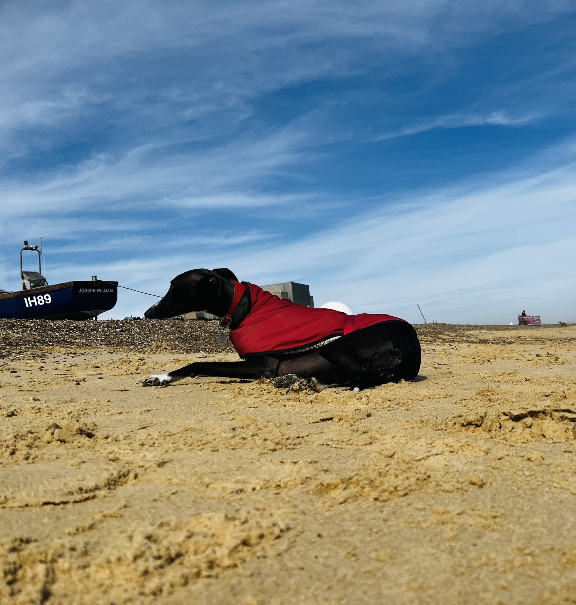 Dr Adam Rutherford on Twitter: "Where is Jesse? https://t.co/9XKYz3uoSb" / Twitter