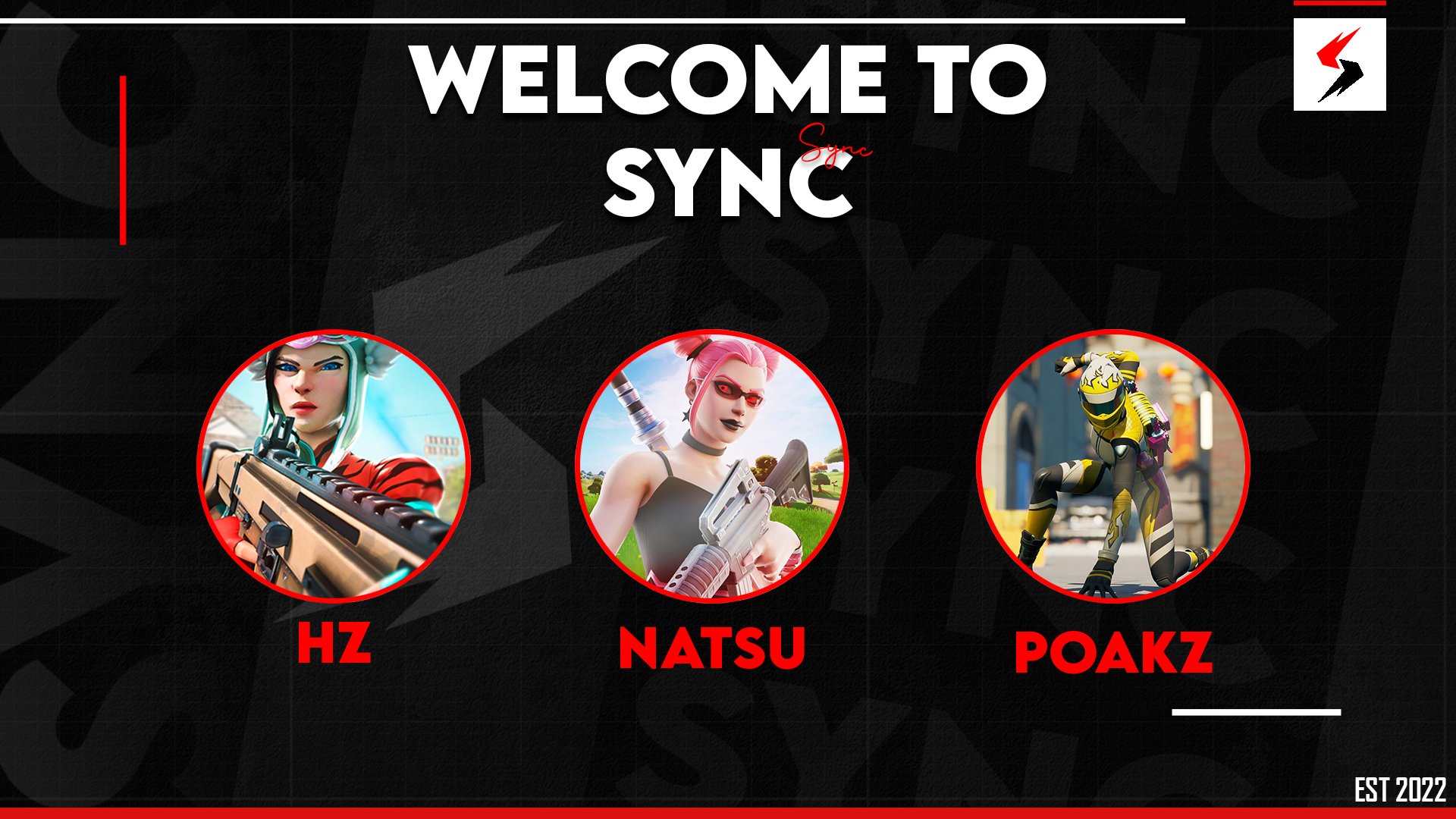 Sync Esports on Twitter: "We are happy to announce our new Academy Team!🥳 Please welcome 🇩🇪 ...