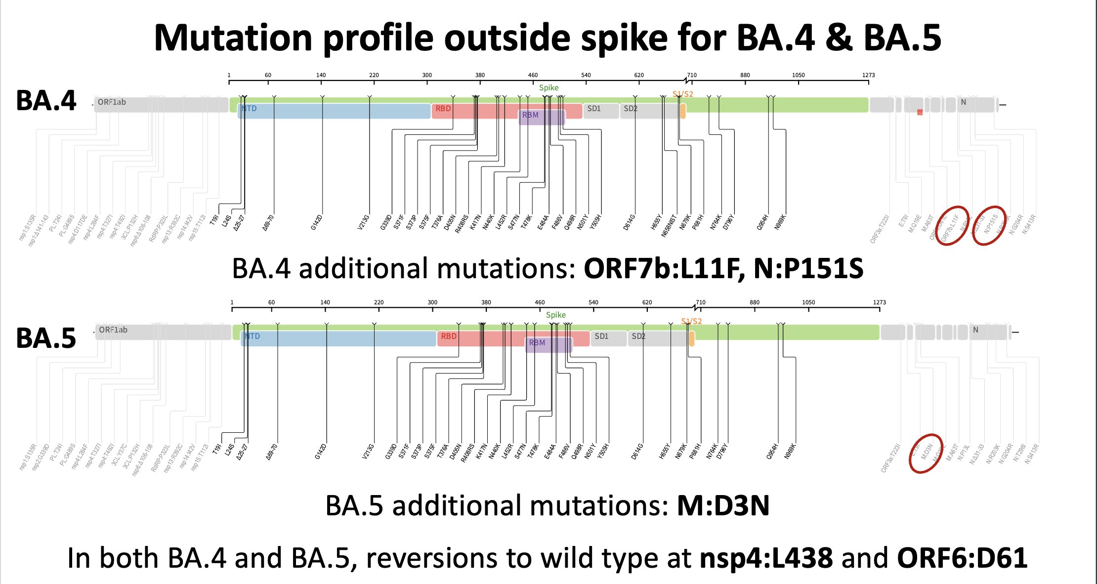 Tulio de Oliveira on Twitter: "New Omicron BA.4 & BA.5 detected in South Africa, Botswana ...
