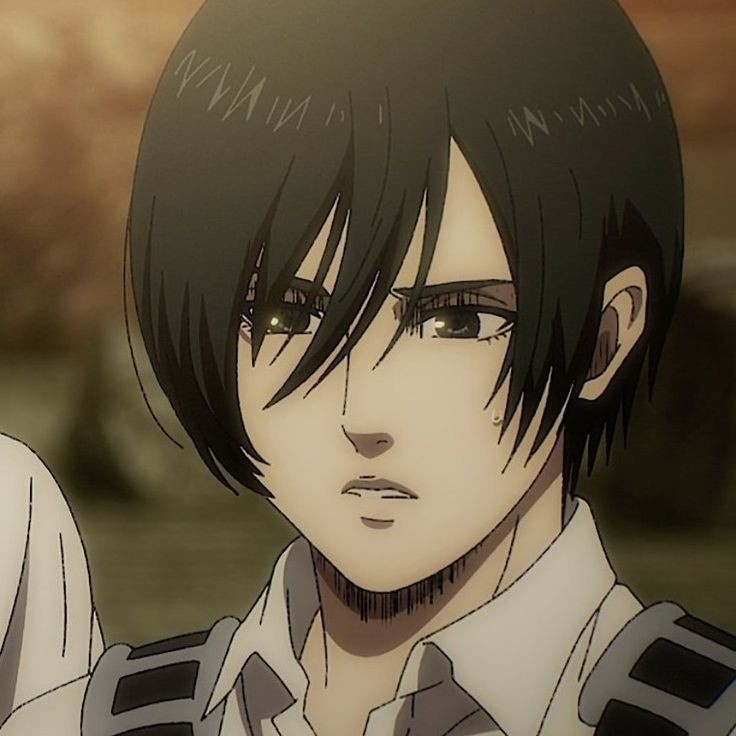 Mikasa Ackerman Face