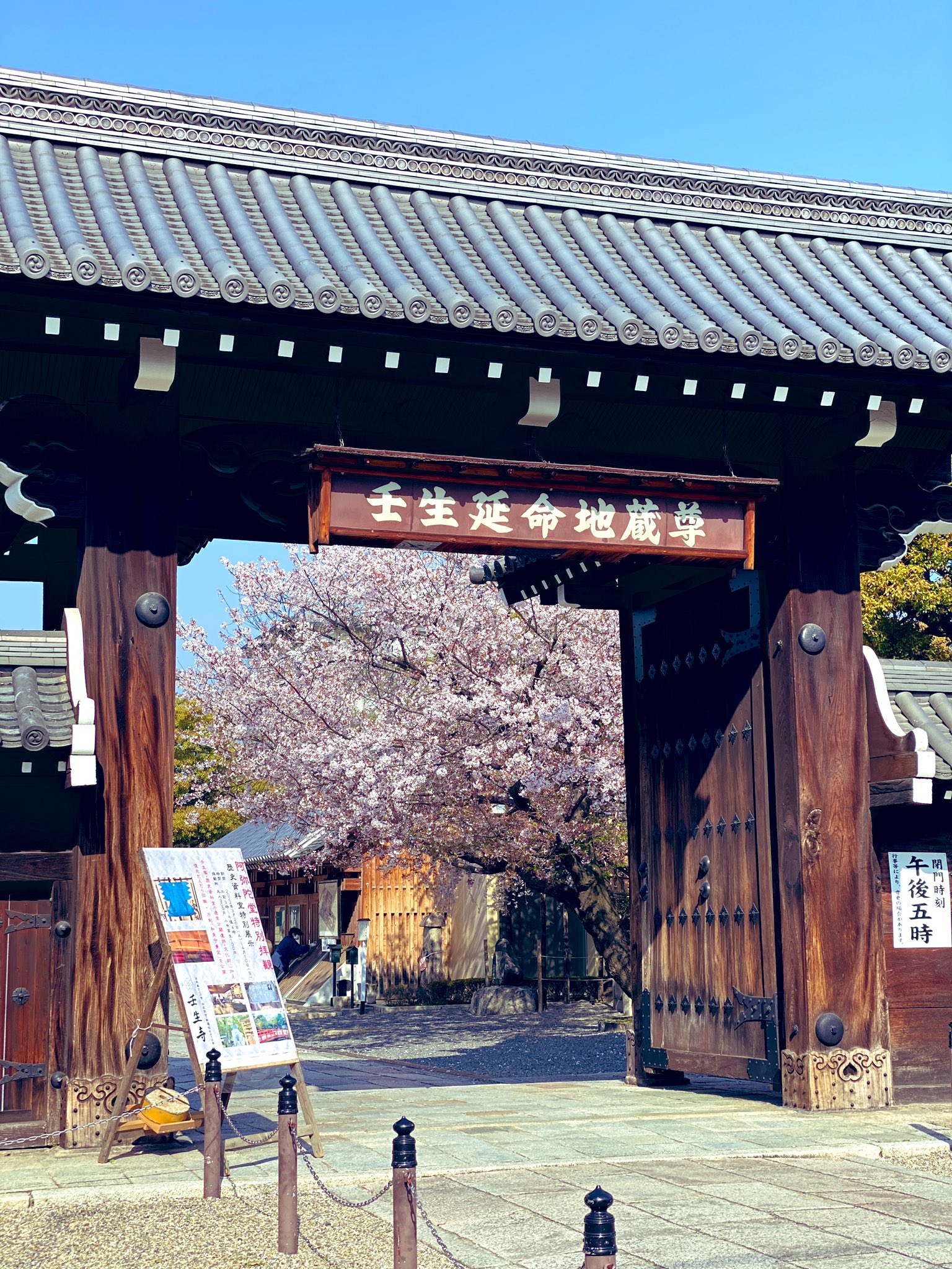 Björn Piske on Twitter: "RT @17_rinrin: 京都🌸壬生寺🏯 (みぶでら) https://t.co/D9mFpr30Jg" / Twitter