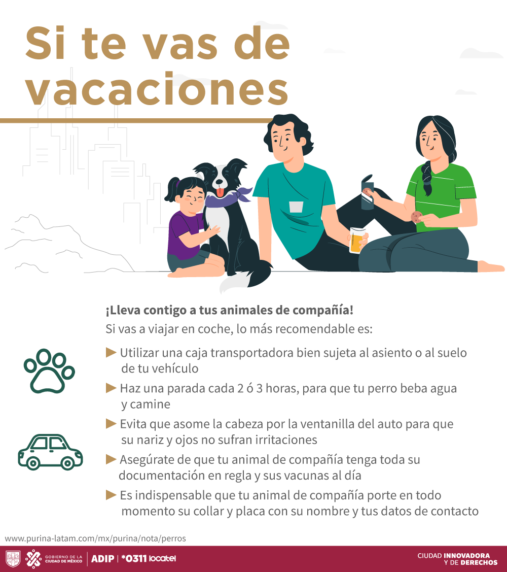Locatel Mx On Twitter Si En Tus Vacaciones Te Acompaña Tu Amigo Más