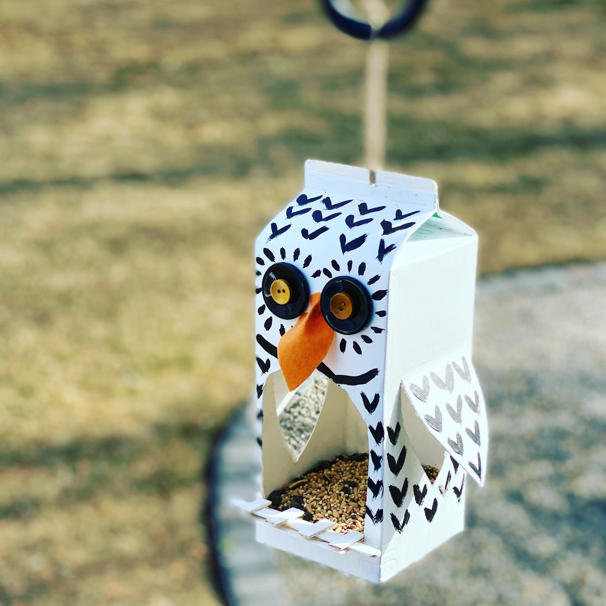 Milk Carton Crafts Bird Feeder