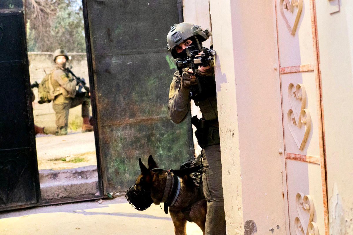 IDF Spokesman: The IDF and the security forces operated at night and ...