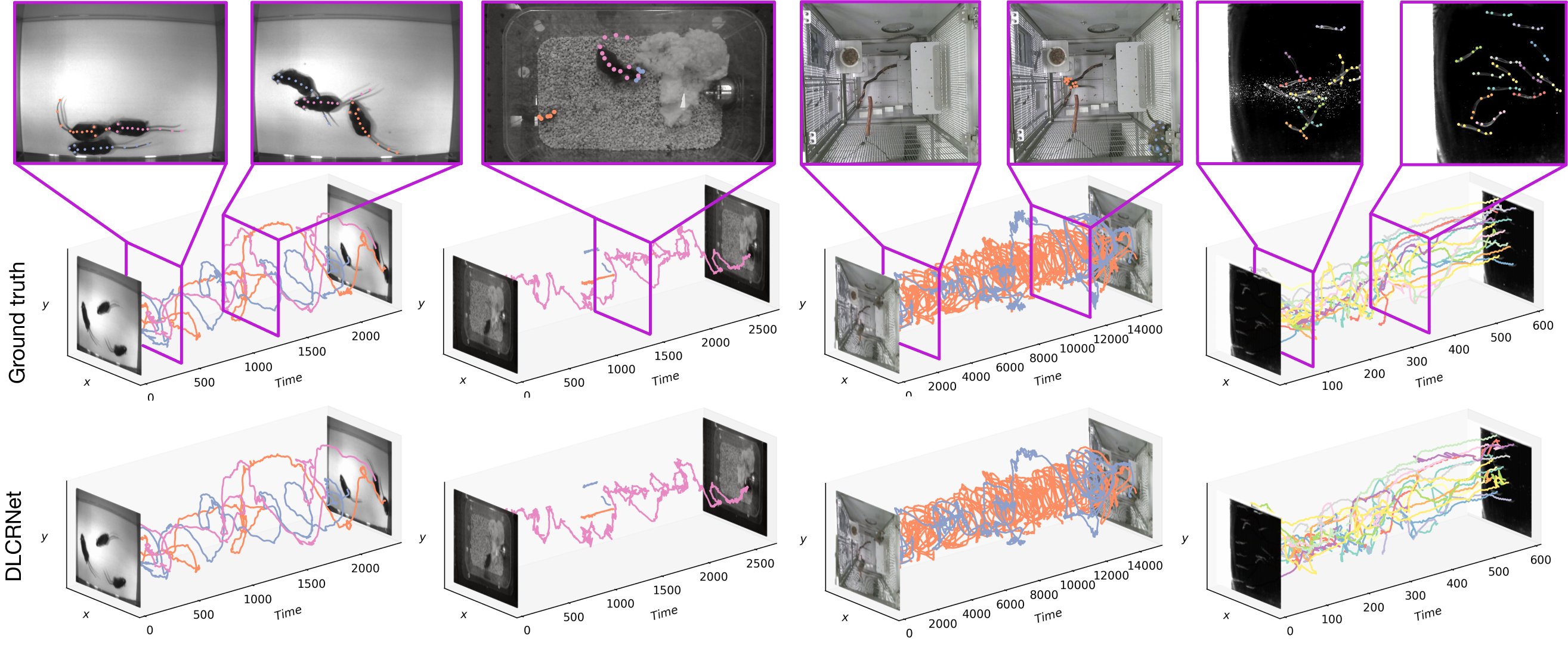 DeepLabCut 🦄 on Twitter: "A lot of new things: Our novel DLCRNet & assembly algorithms beat SOTA ...