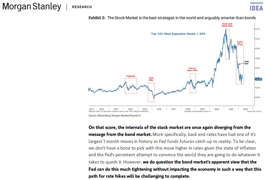 Seth Golden on Twitter: "Morgan Stanley Mike Wilson: Stock investors have always been the ...