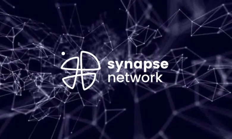 Synapse Network on Twitter: "Different paths, different bonuses 🚀 Everything tailored to your ...