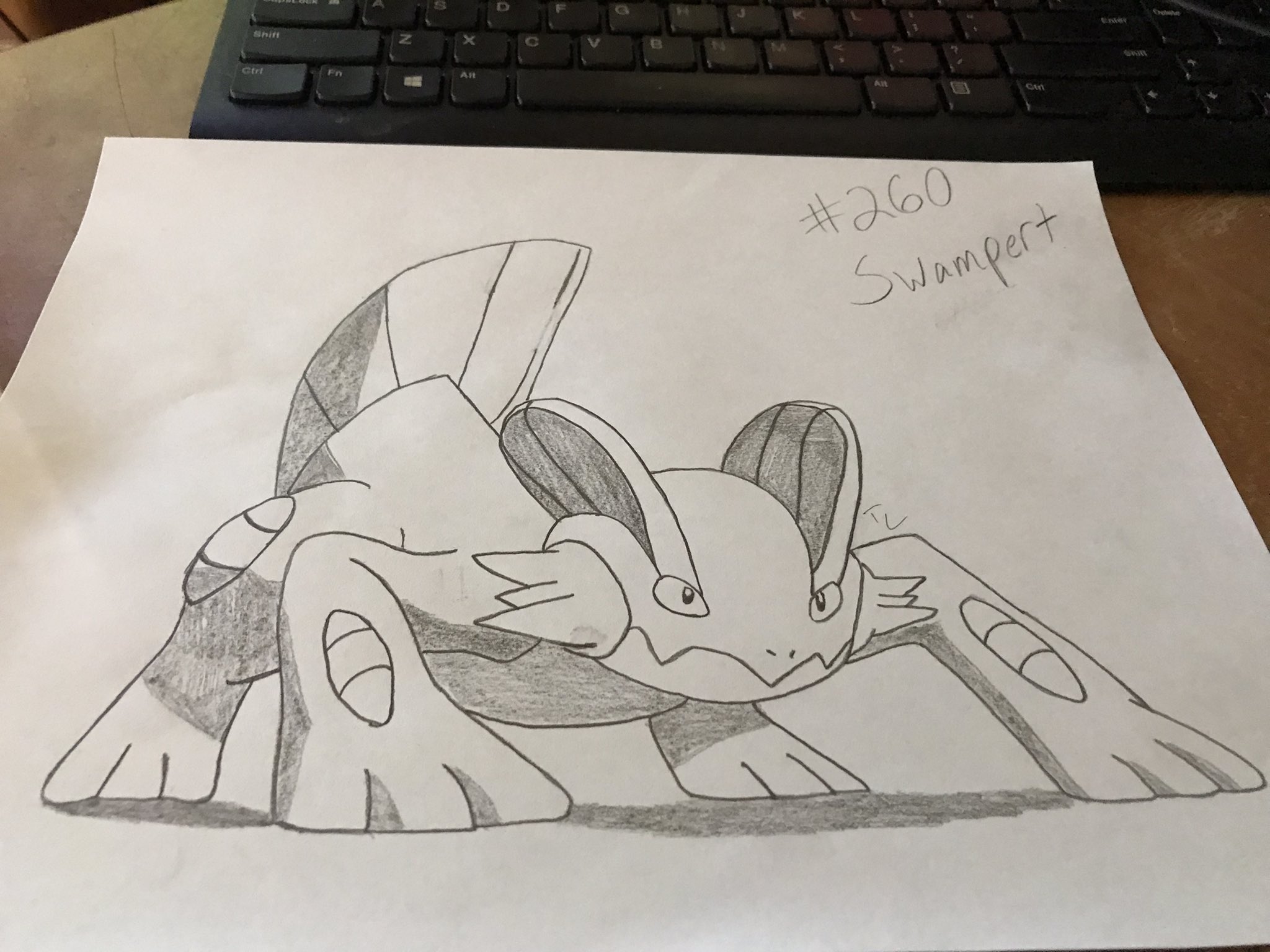 How To Draw Mega Swampert