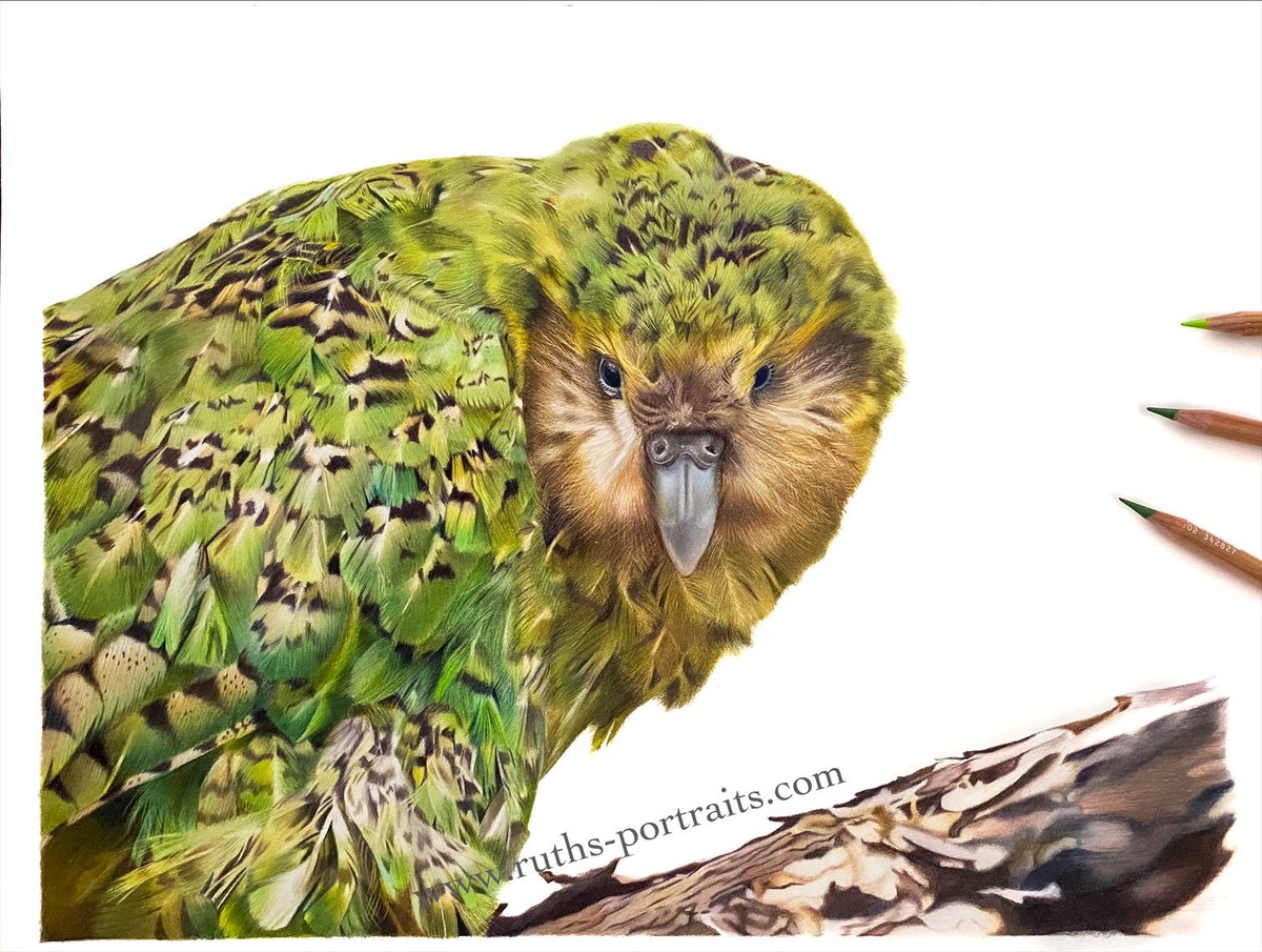 Ruth Weaver (Ruth’s Portraits) (@ruths_portraits) さんのイラスト・マンガ作品まとめ (9 件 ...