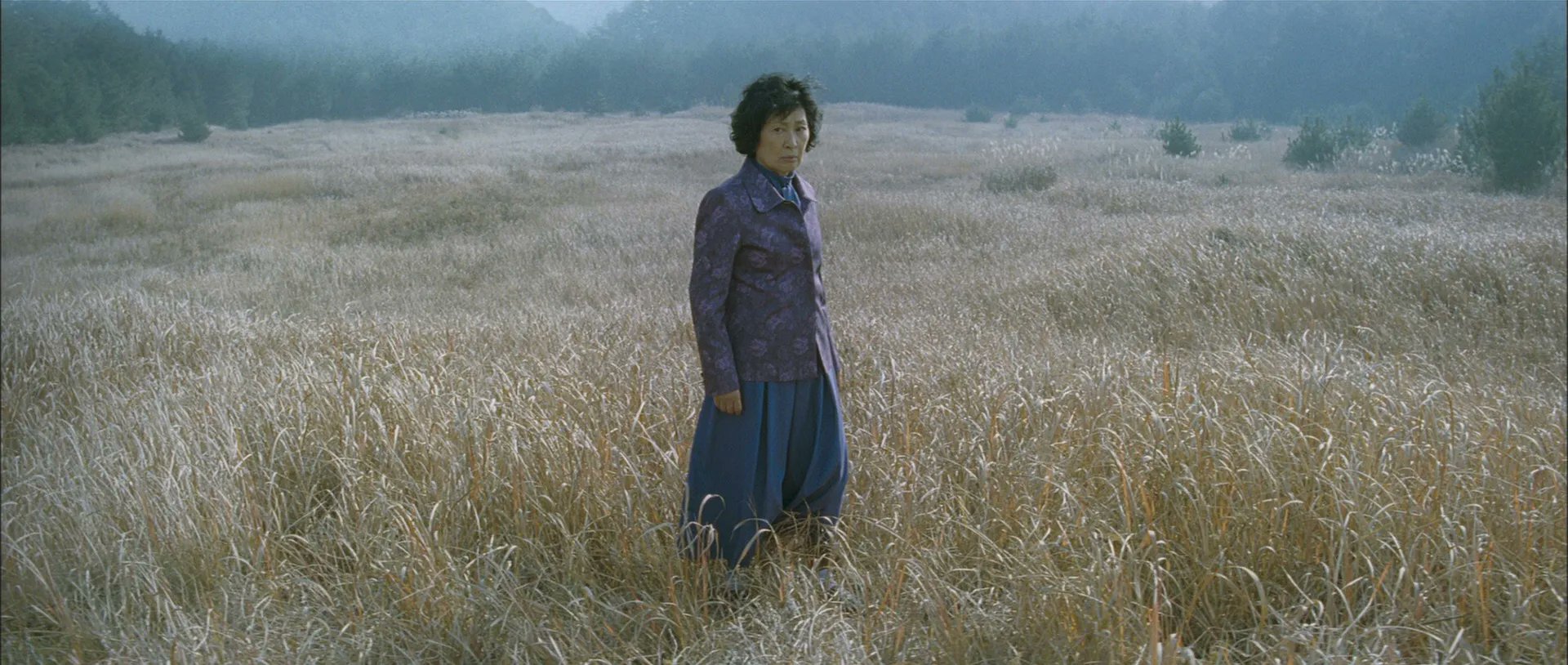 One Perfect Shot on Twitter: "MOTHER (2009) Cinematography by Hong Kyung-pyo Directed by Bong ...