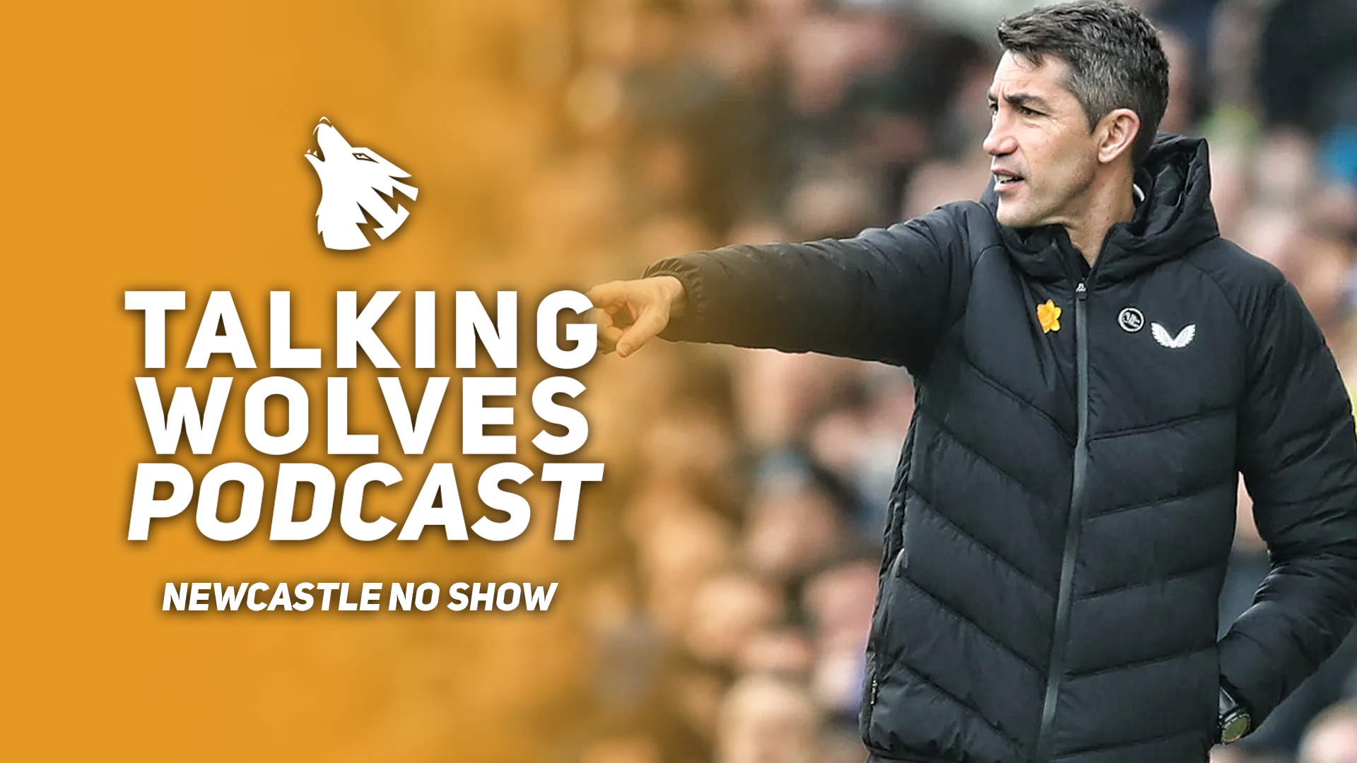 Talking Wolves on Twitter: Talking Wolves on Twitter: