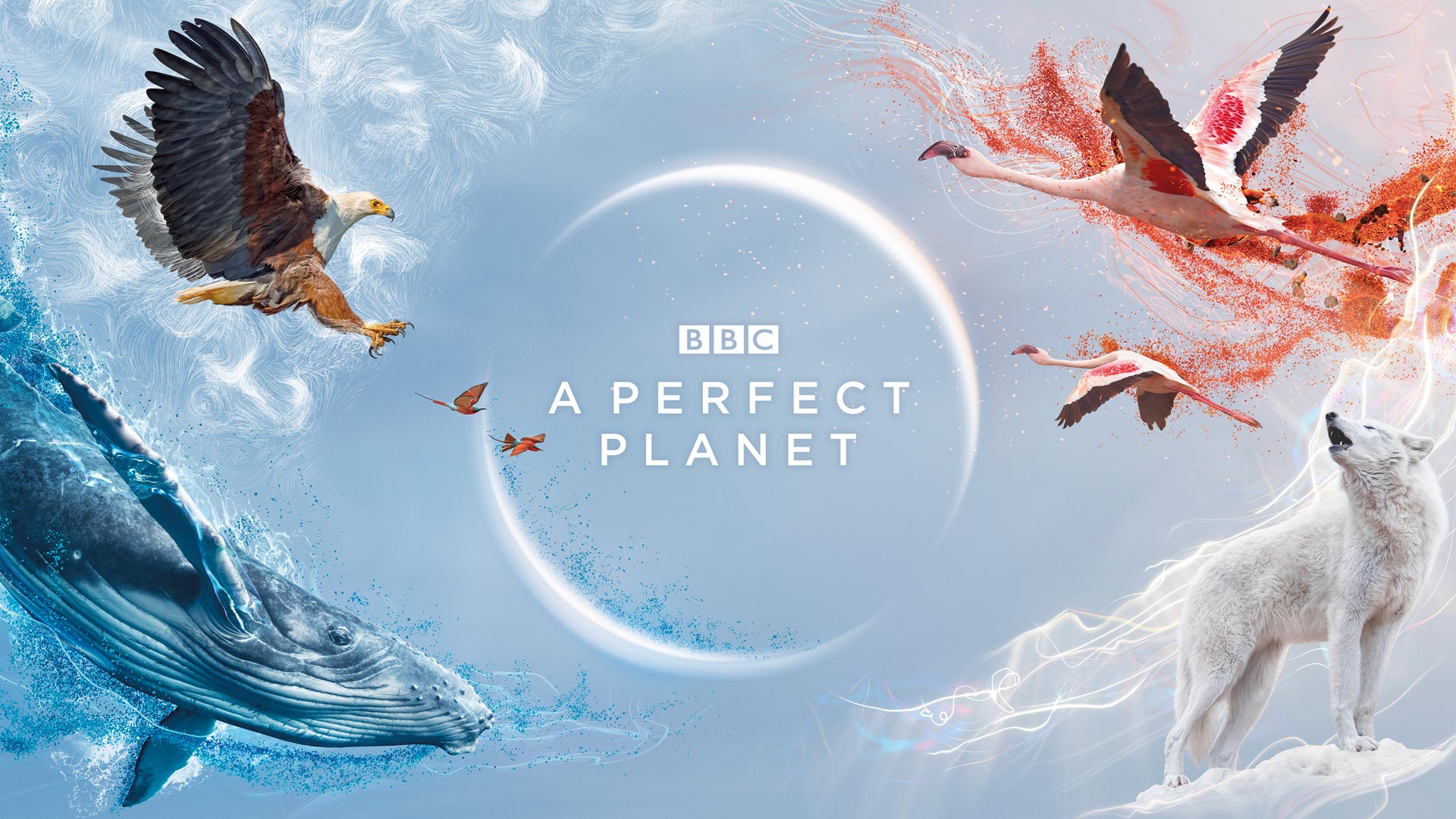 Bbc Planet Earth Wallpaper