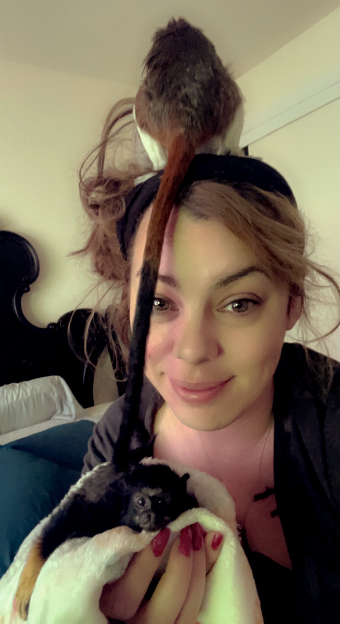 Cassandra MacDonald on Twitter: "This was when I woke up this morning https://t.co/f2qLtDKP6b ...