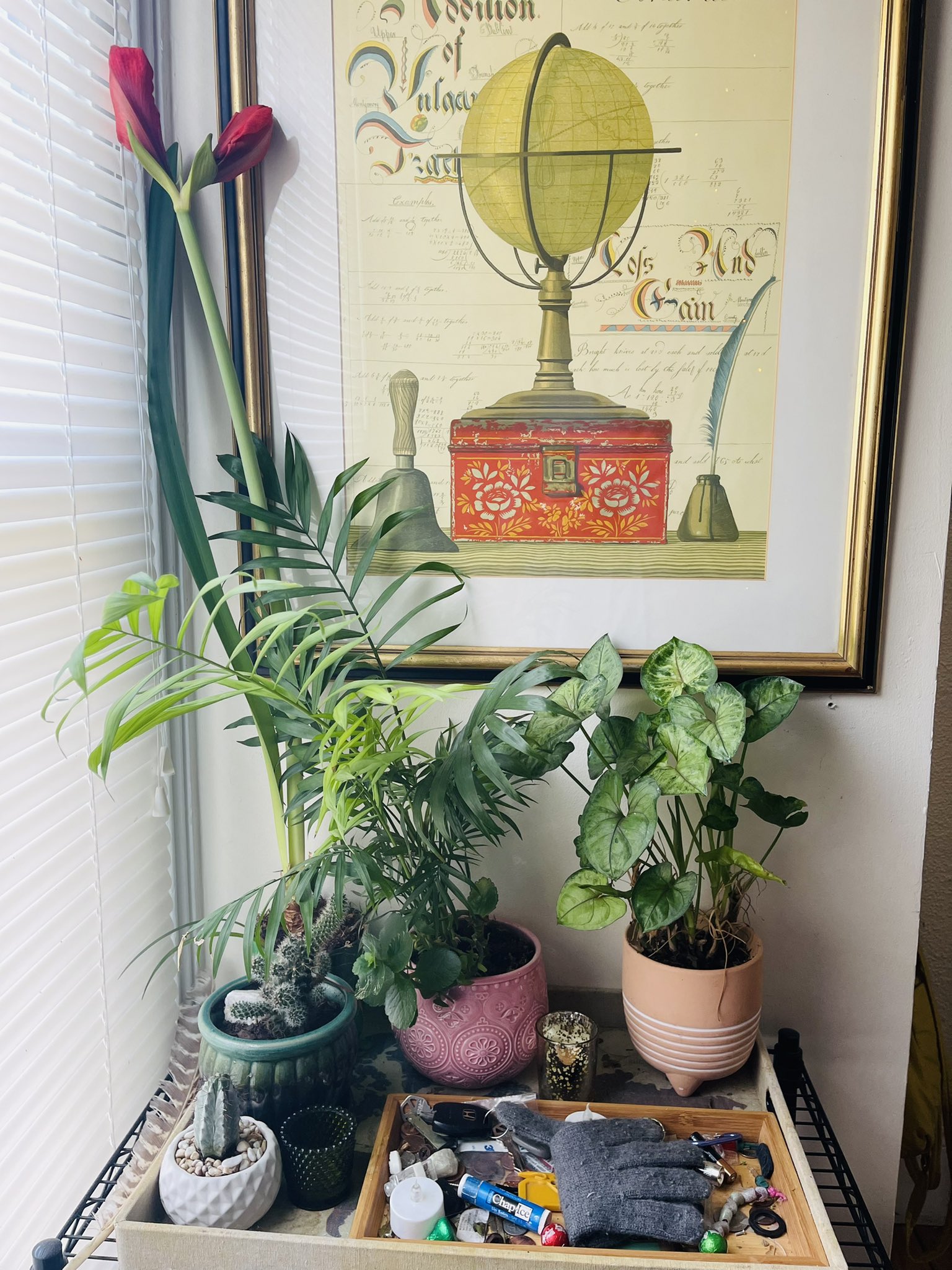 TW Pornstars - 1 pic. Katie Key. Twitter. Plants are the new pets 🌱. 3: ...