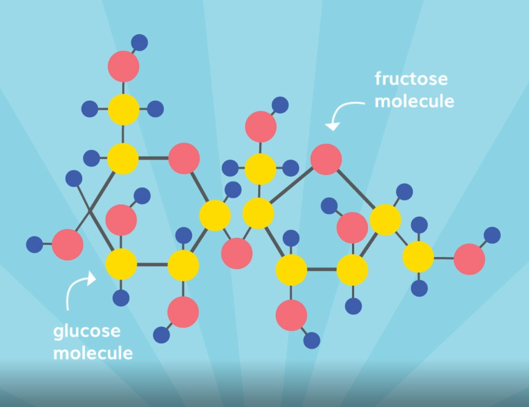 Single Sugar Molecule Like Glucose