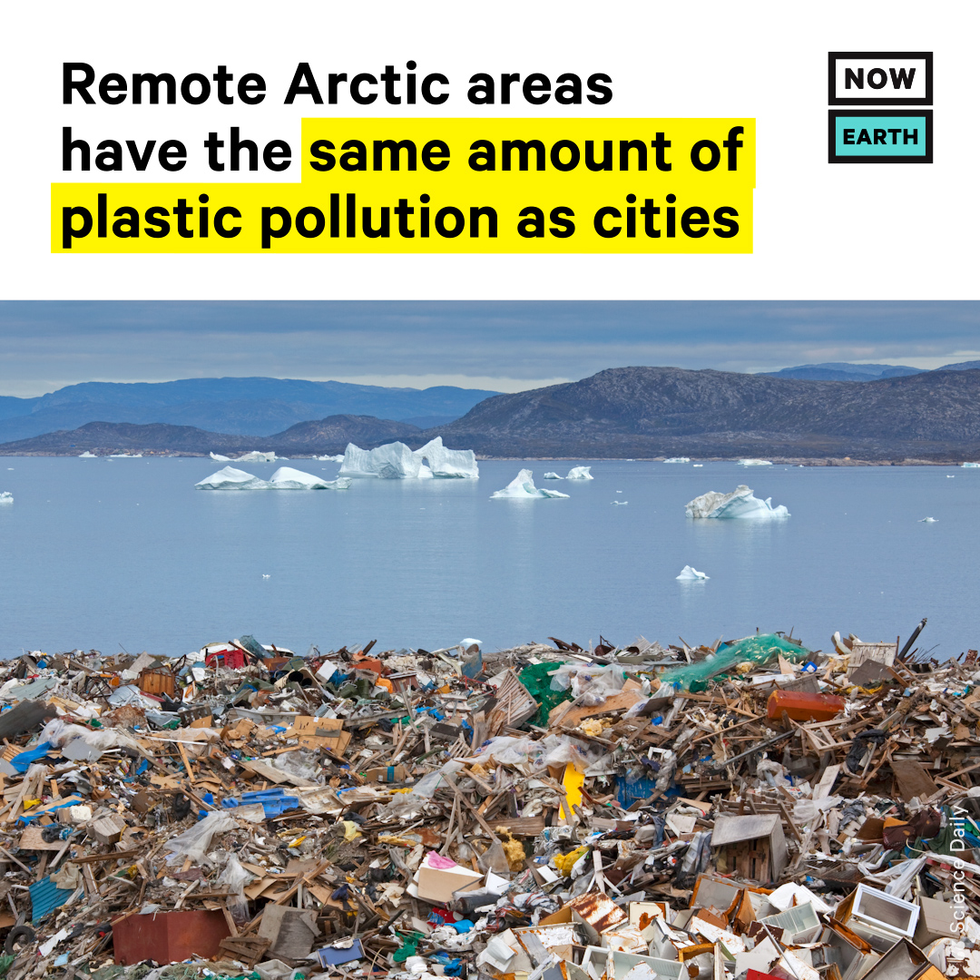 NowThis on Twitter: NowThis on Twitter: