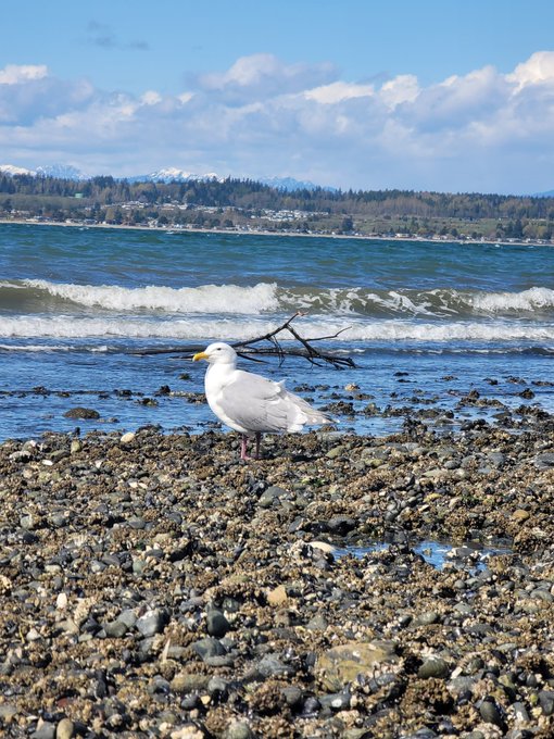 TW Pornstars - Lex Vive 🧡 Foxy_gamer 🧡. The most retweeted pictures and ...