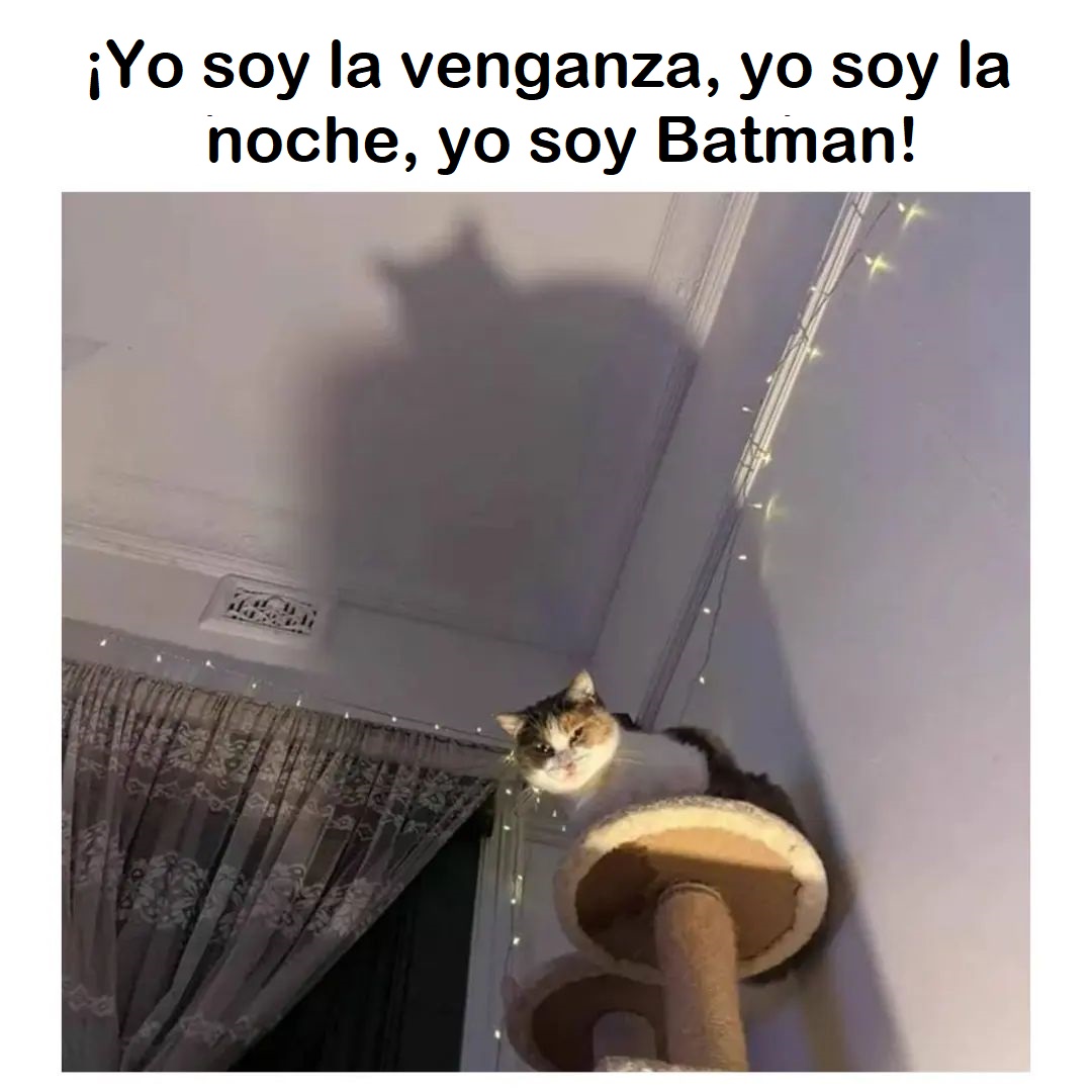 Memes Yo Soy Batman DC Admits The One Bat Family Member Batman Will