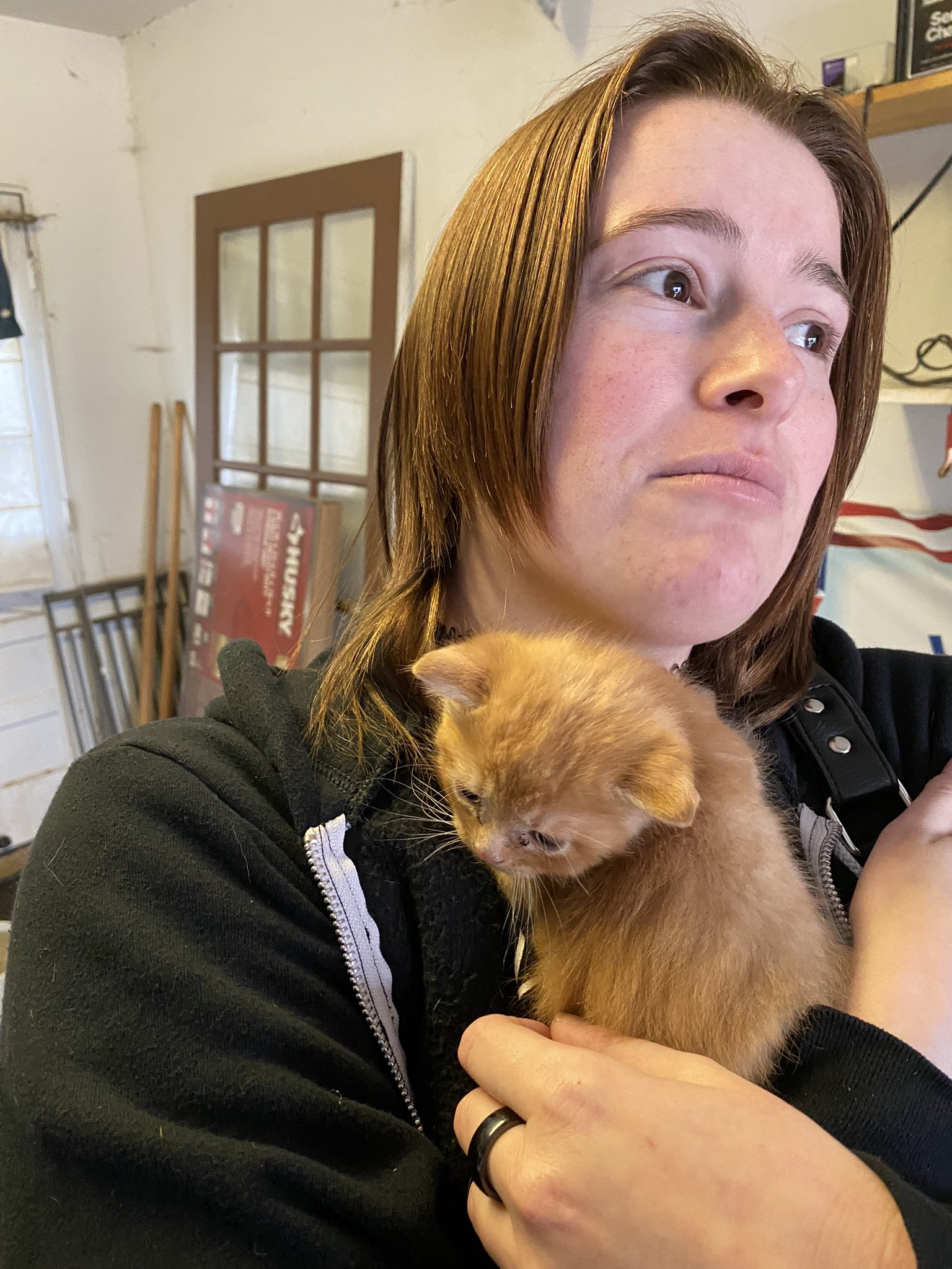 FrostPrime on Twitter: "Should we get them? https://t.co/aVrm0Fvw6H" / Twitter