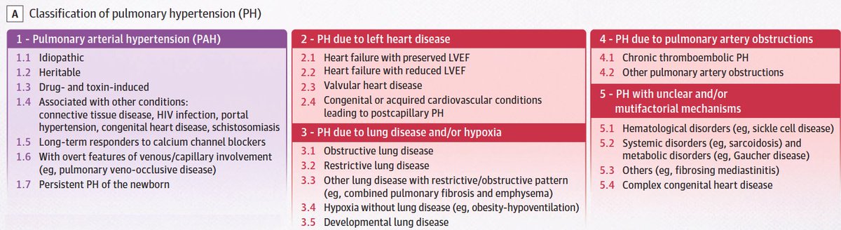 🆕 HIPERTENSIÓN ARTERIAL PULMONAR (HAP) 🫁 📌 Definición y clasificación 📌 Fisiopatología 📌 Clínica ...