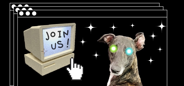 IGN on Twitter: "Our Product & Engineering teams are pleased to announce the return of Code Foo ...