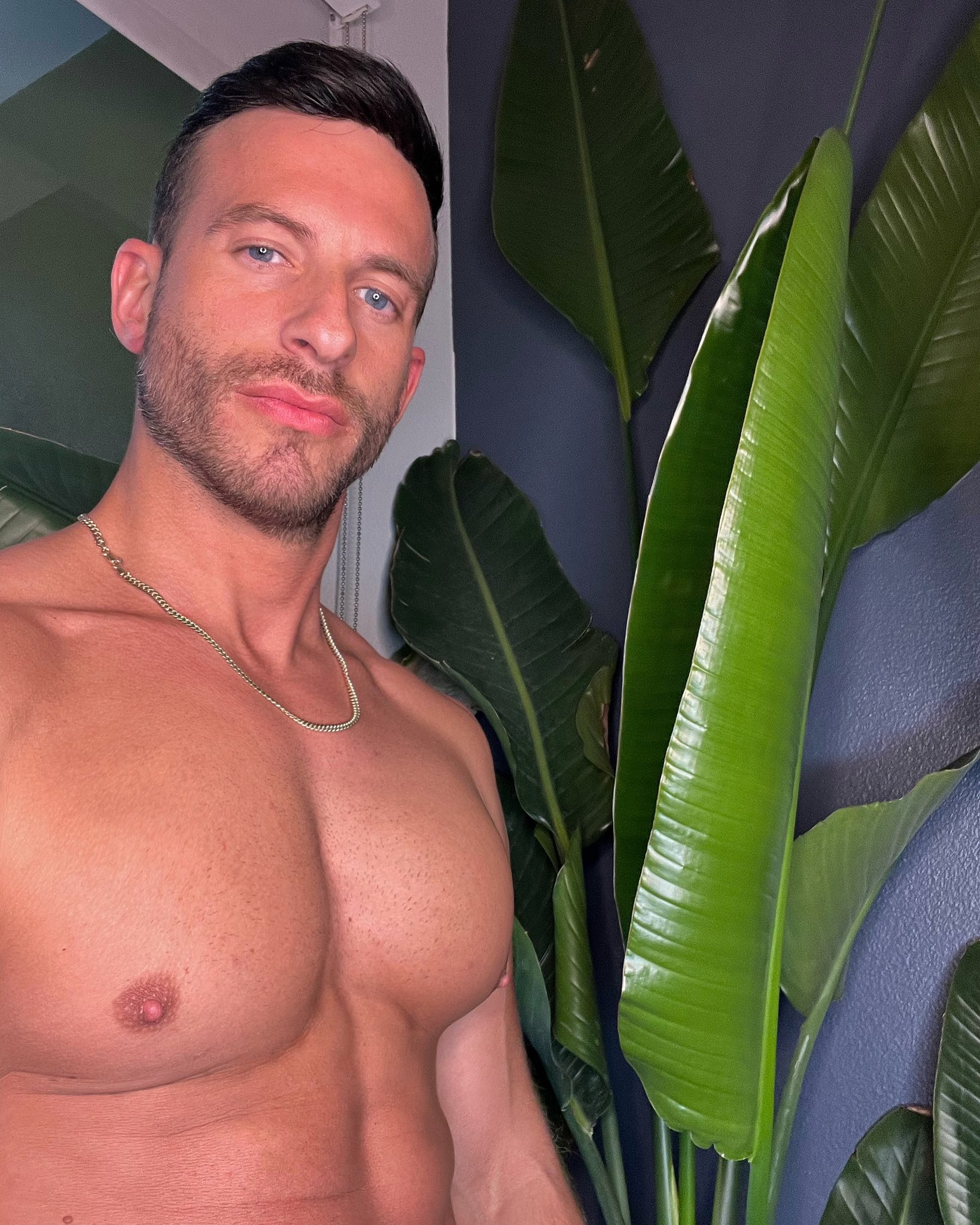 jaynicholas on Twitter: "Daddy, plant daddy https://t.co/OMLWd0oTRp" / Twitter