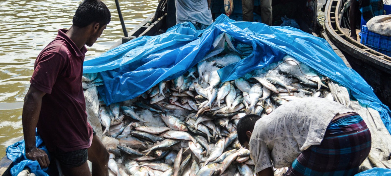 アメリカ大使館 on Twitter: "It’s not just a warming climate that harms our ...