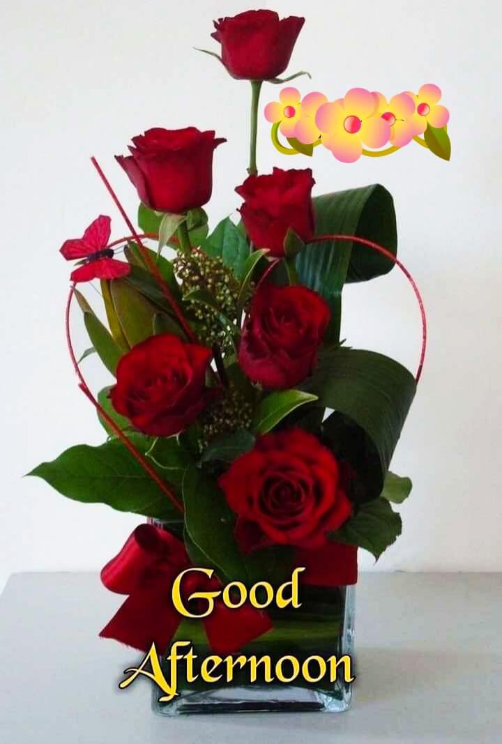 Good Afternoon Images With Red Roses
