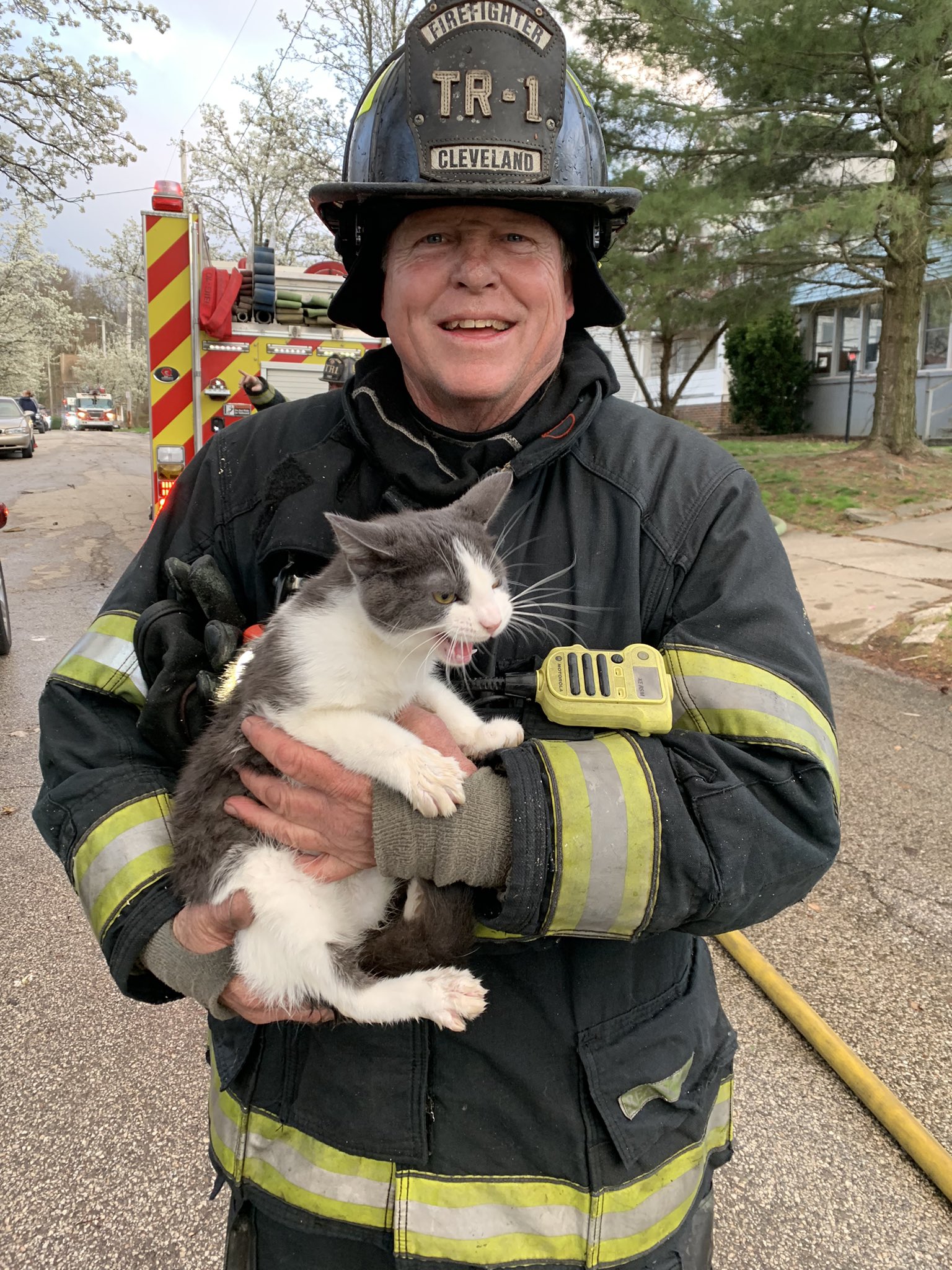 Firefighters Saving Cats
