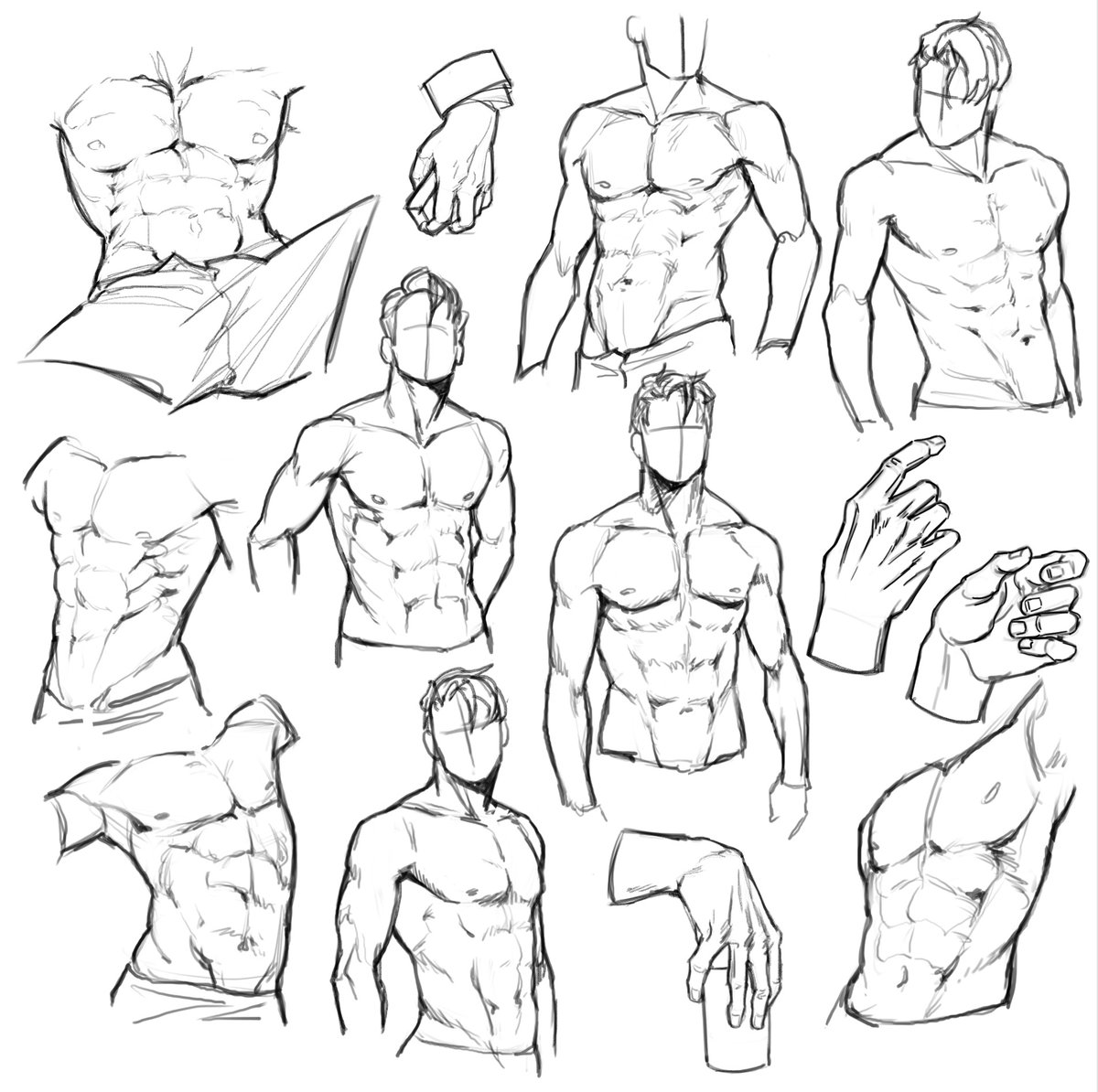 Male Torso Drawing Reference