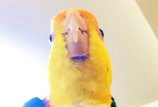 Hideaki Utsumi on Twitter: "https://t.co/7iX830mmHY" / Twitter