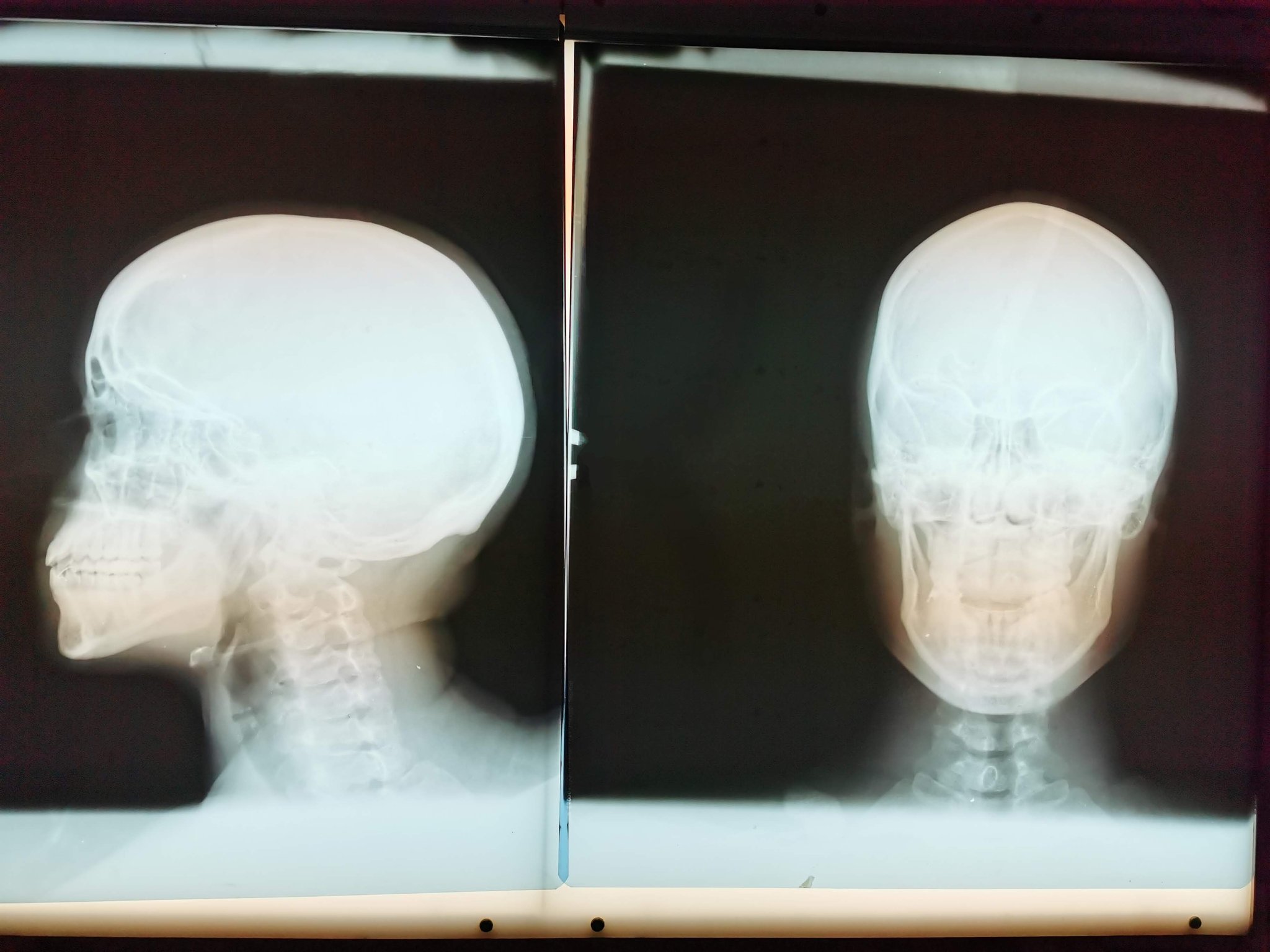 TW Pornstars - Charlie Cruise. Twitter. It's me. 6:42 PM - 15 Apr 2022