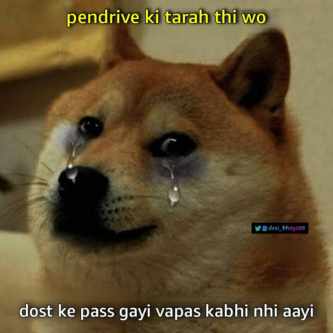 Doge I Cry Evertim