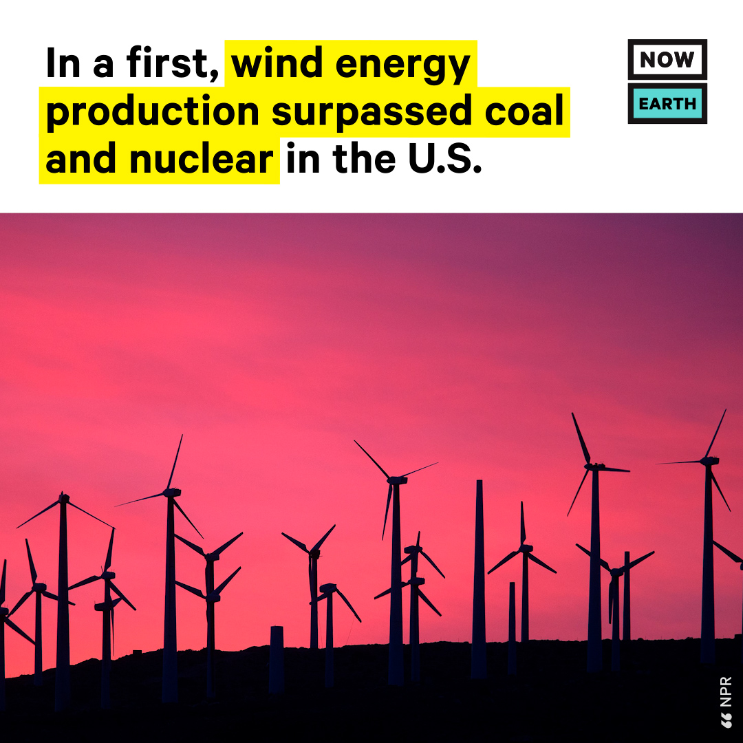 Thread by @nowthisnews on Thread Reader App – Thread Reader App