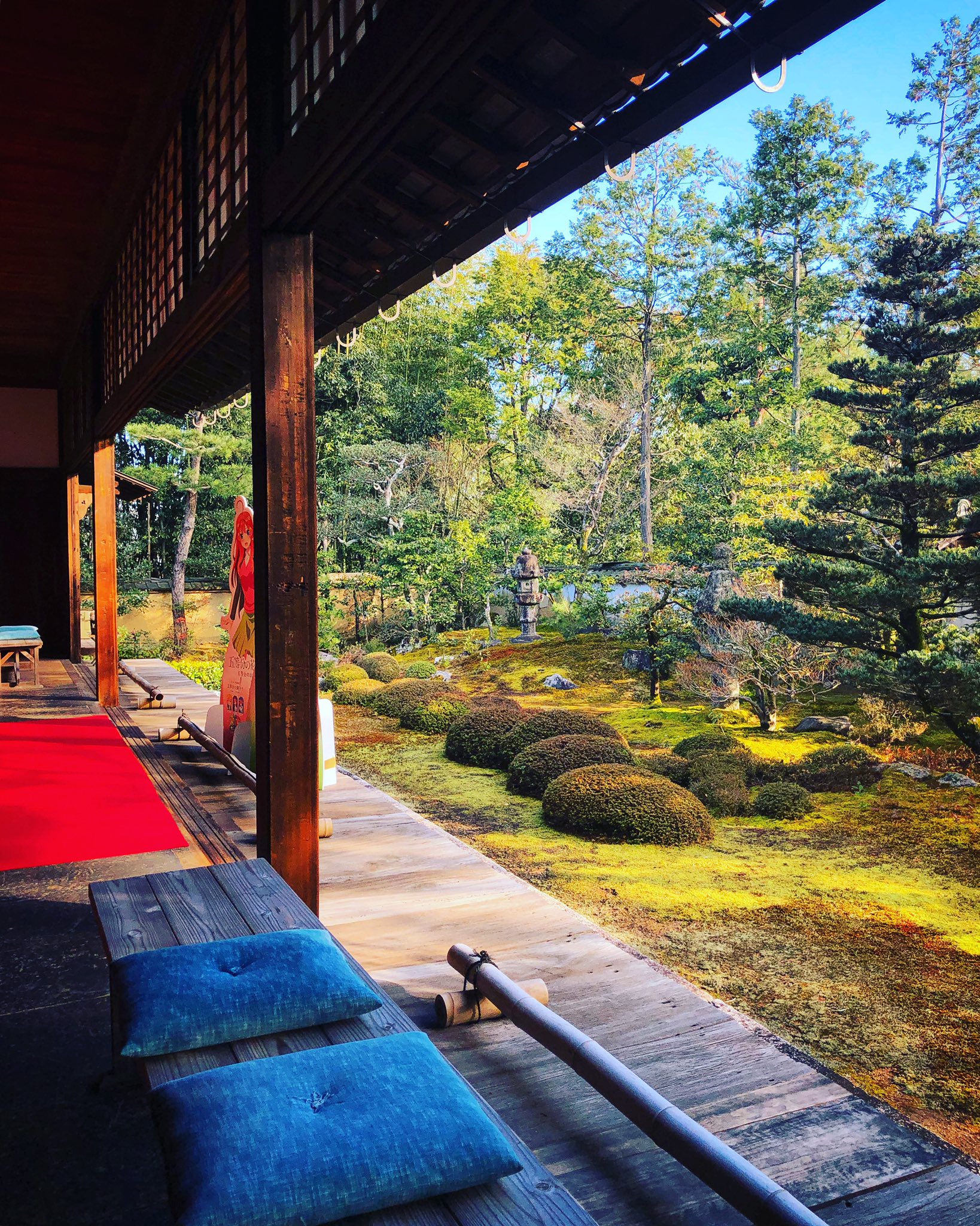 日本庭園メディア『おにわさん』中の人 On Twitter 京都の『妙心寺 大雄院』の庭園が素敵…! 2022年春は4 29 祝 〜5